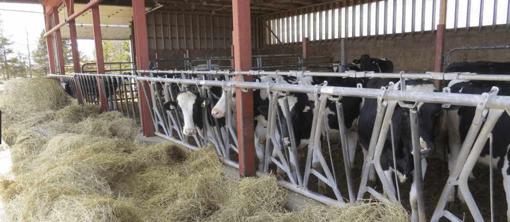 Agricultural Well Drilling Experts In California