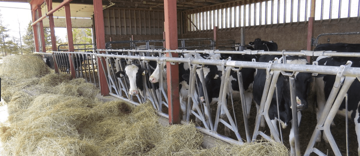 Water Well Plus handles everything form well permitting to drilling and ...